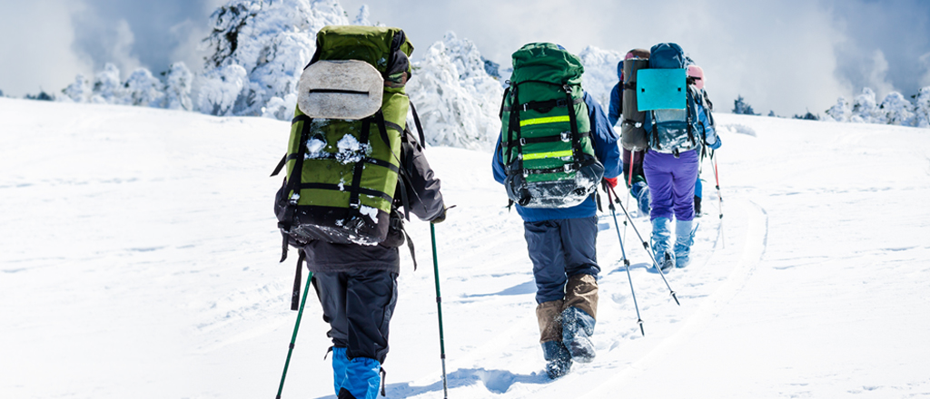 Home - HM Insurance Group